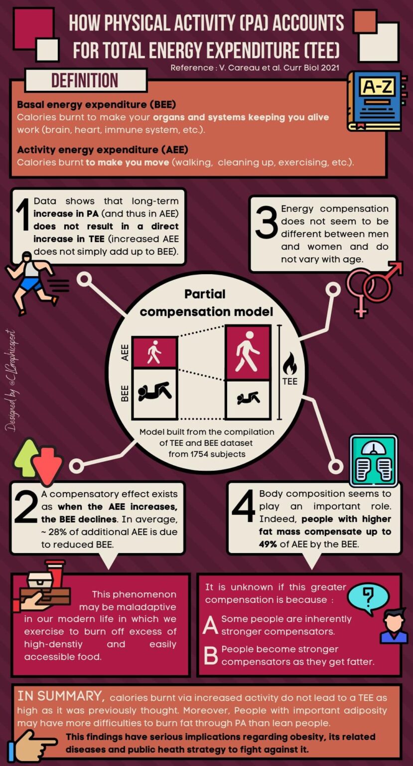 Here's Why You Shouldn't Try to Exercise Your Food Off